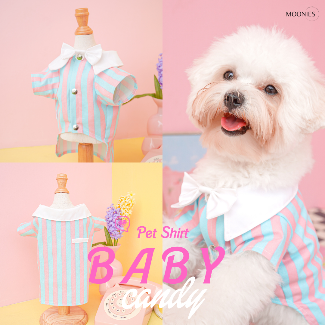MOONIES PET013: Baby Candy - Pet Shirt